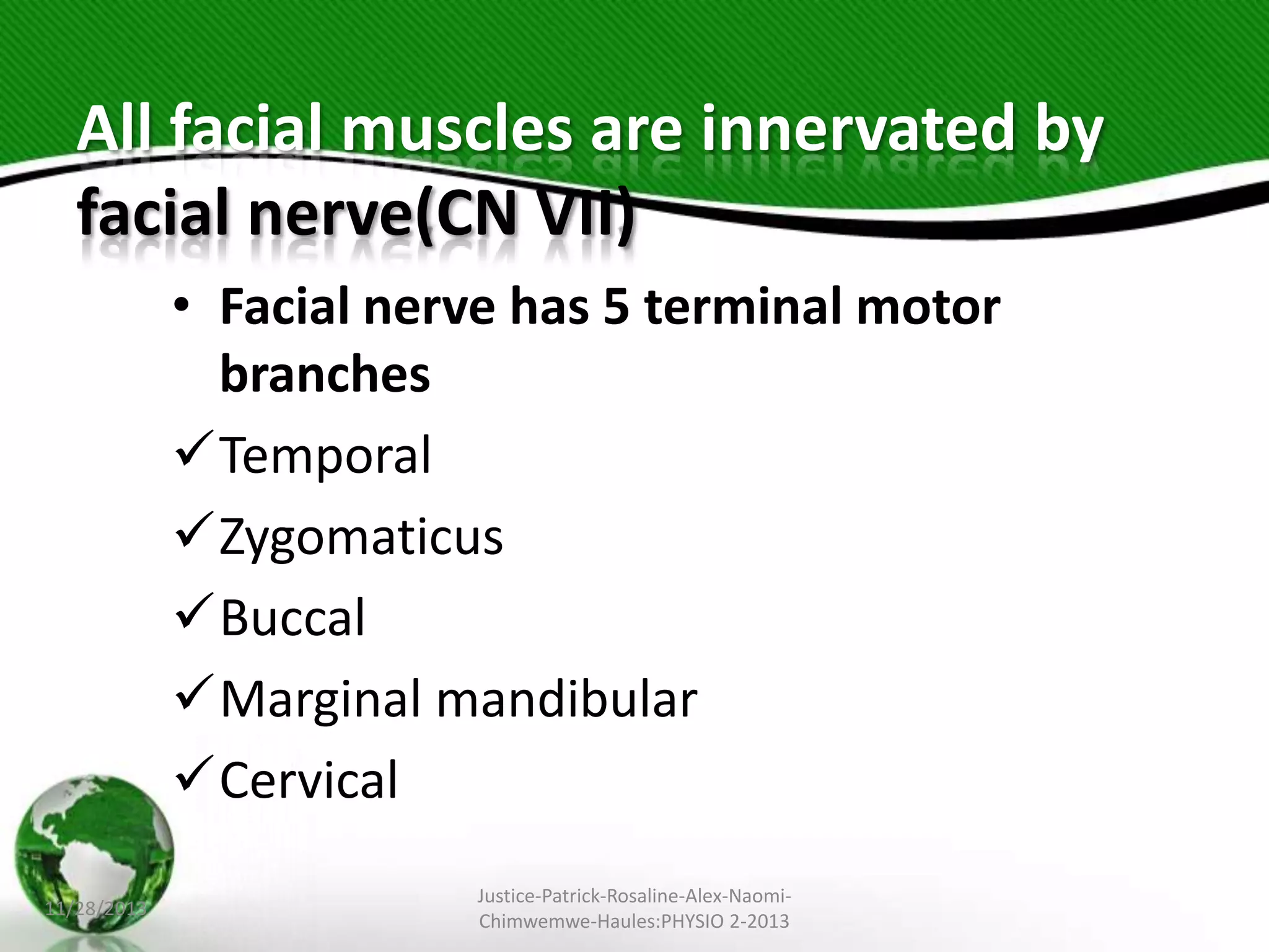 INNERVATION OF FACIAL MUSCLES OF EXPRESSION AND MMASTICATION MADE ...