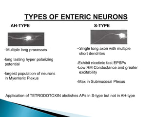 Innervation of gastro intestinal tract | PPTX