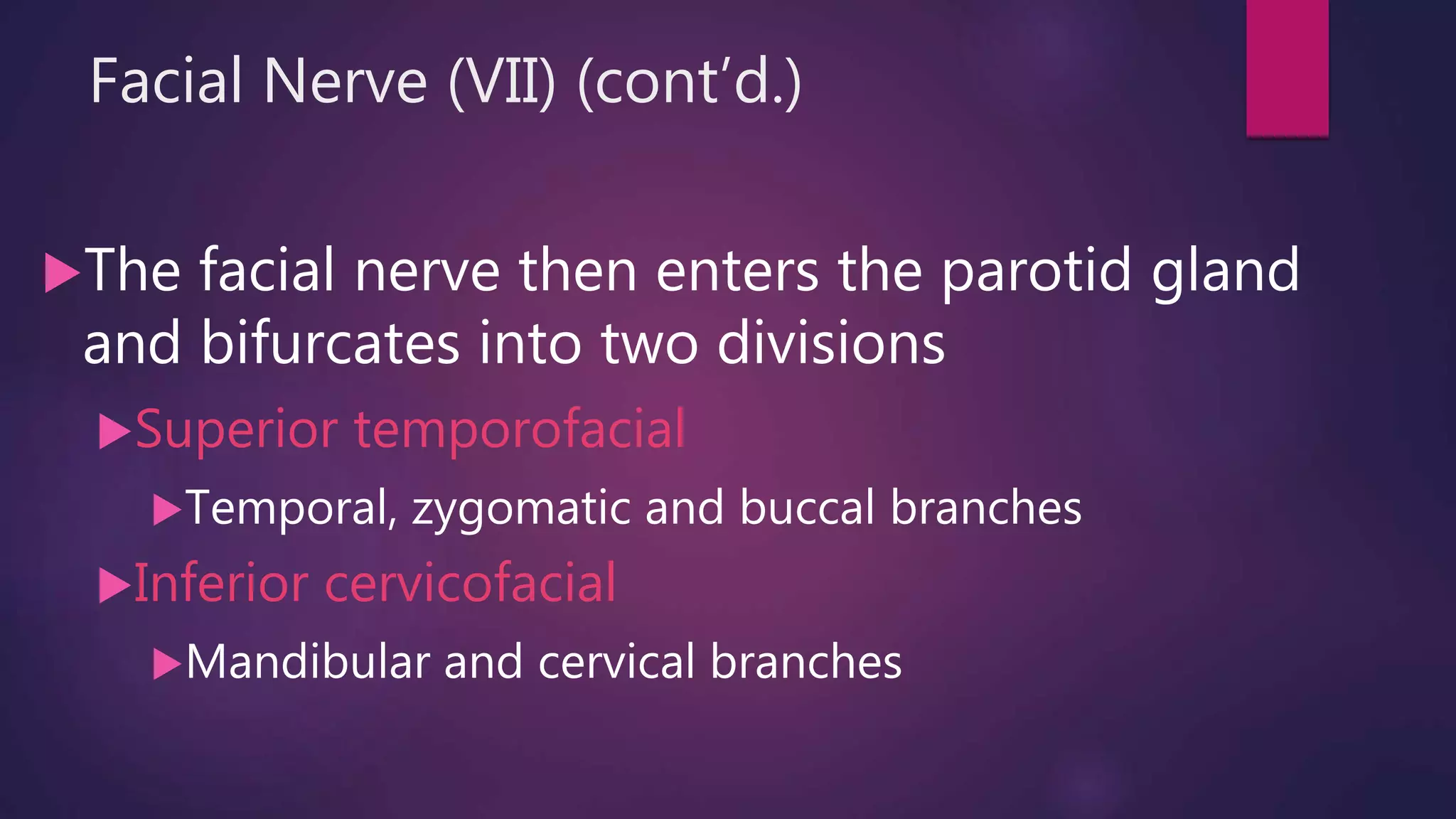 Innervation of Teeth and Tissues: Facial, Glosspharyngeal, Hypoglossal ...