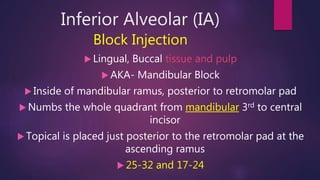 Innervation of Teeth and Tissues: Facial, Glosspharyngeal, Hypoglossal ...