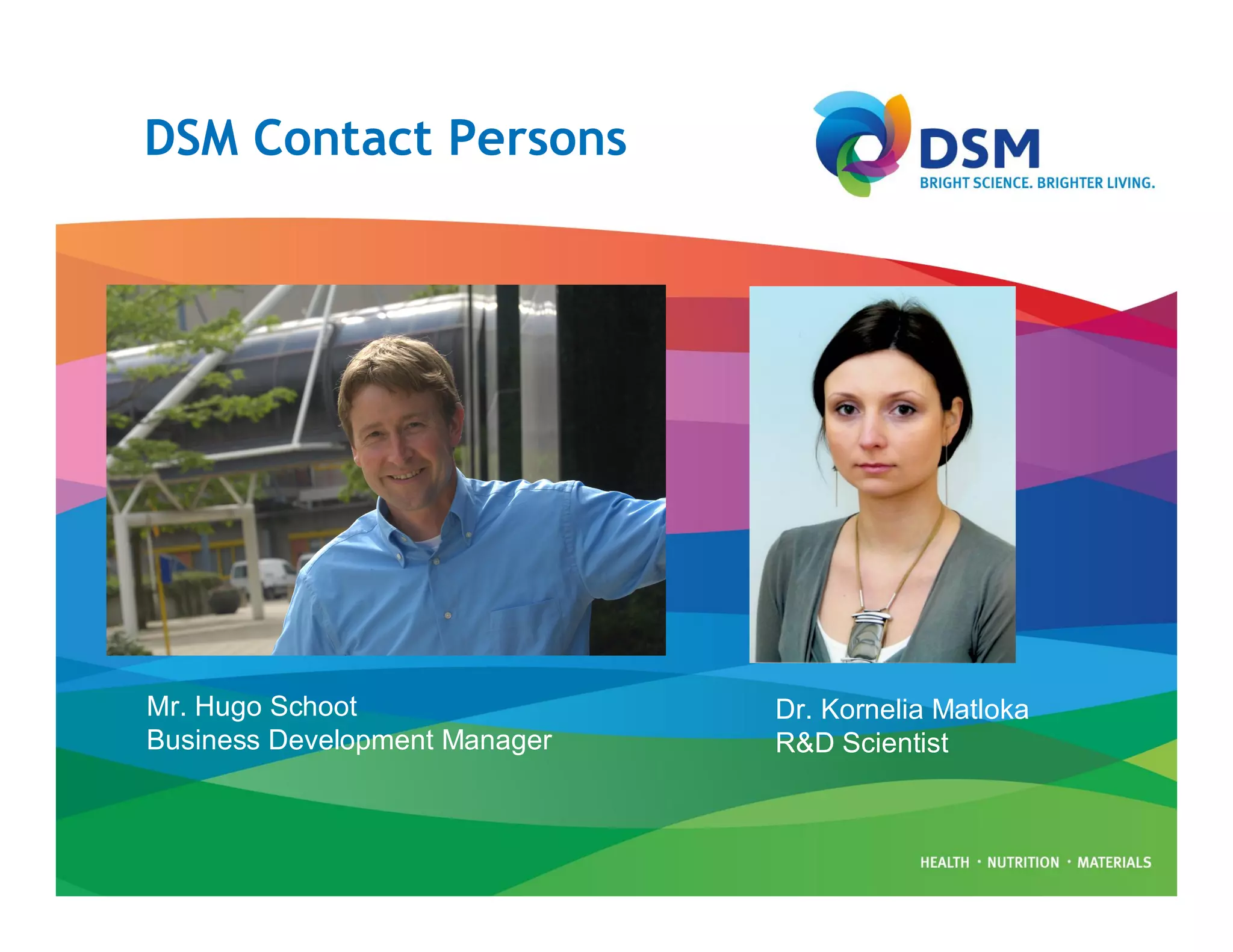Innovation at DSM: Nanostructured Functional Coatings | PDF