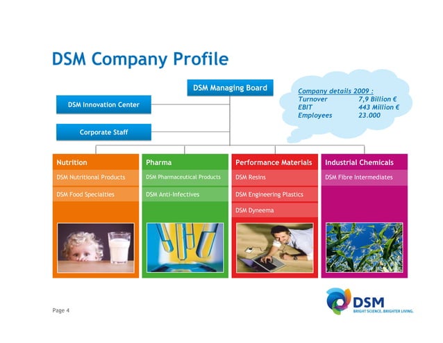 Innovation at DSM: Nanostructured Functional Coatings | PDF