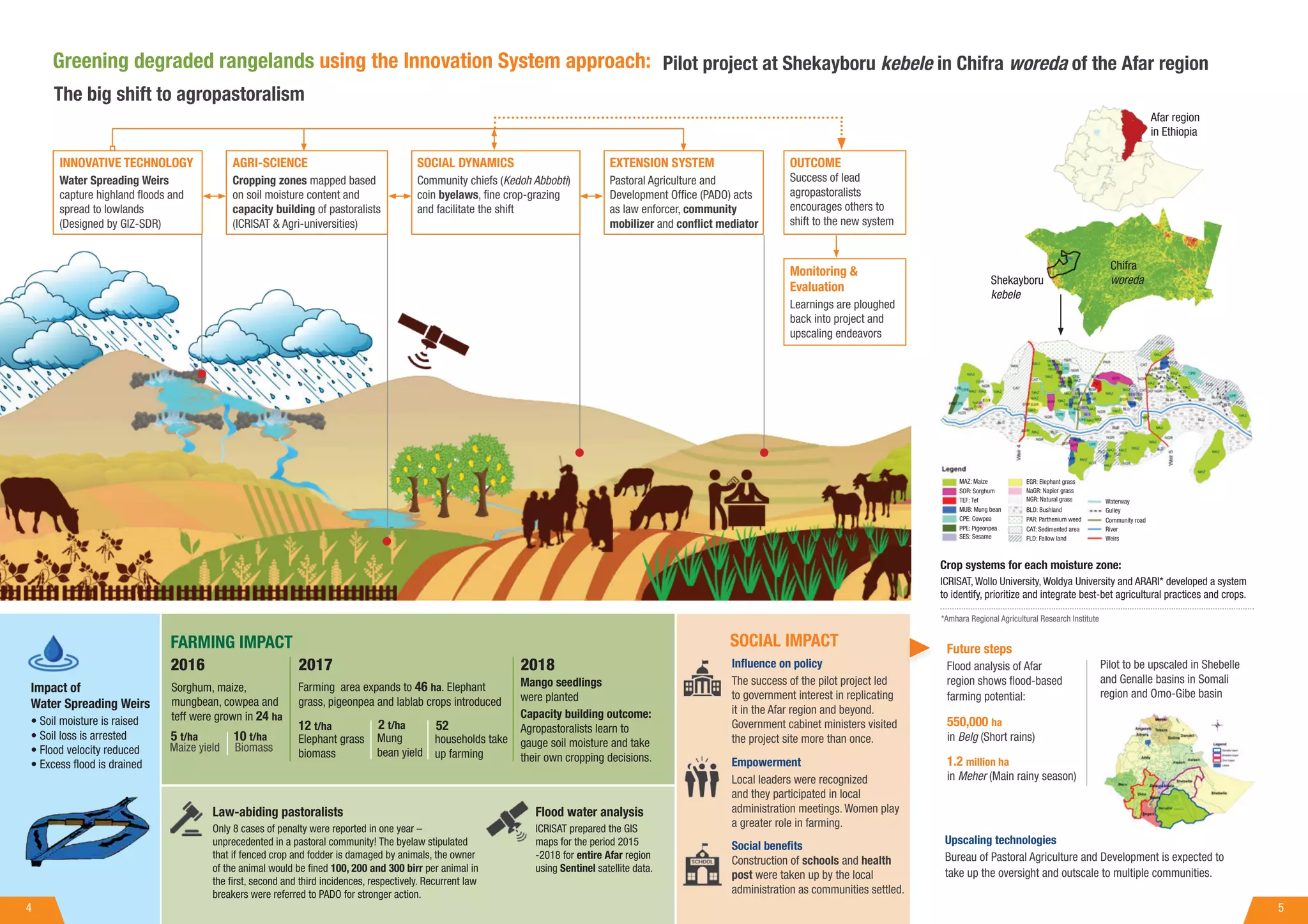Innovation transforms livelihoods of pastoralists in Ethiopia | PDF