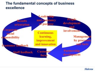 Innovation & Business Excellence | PDF