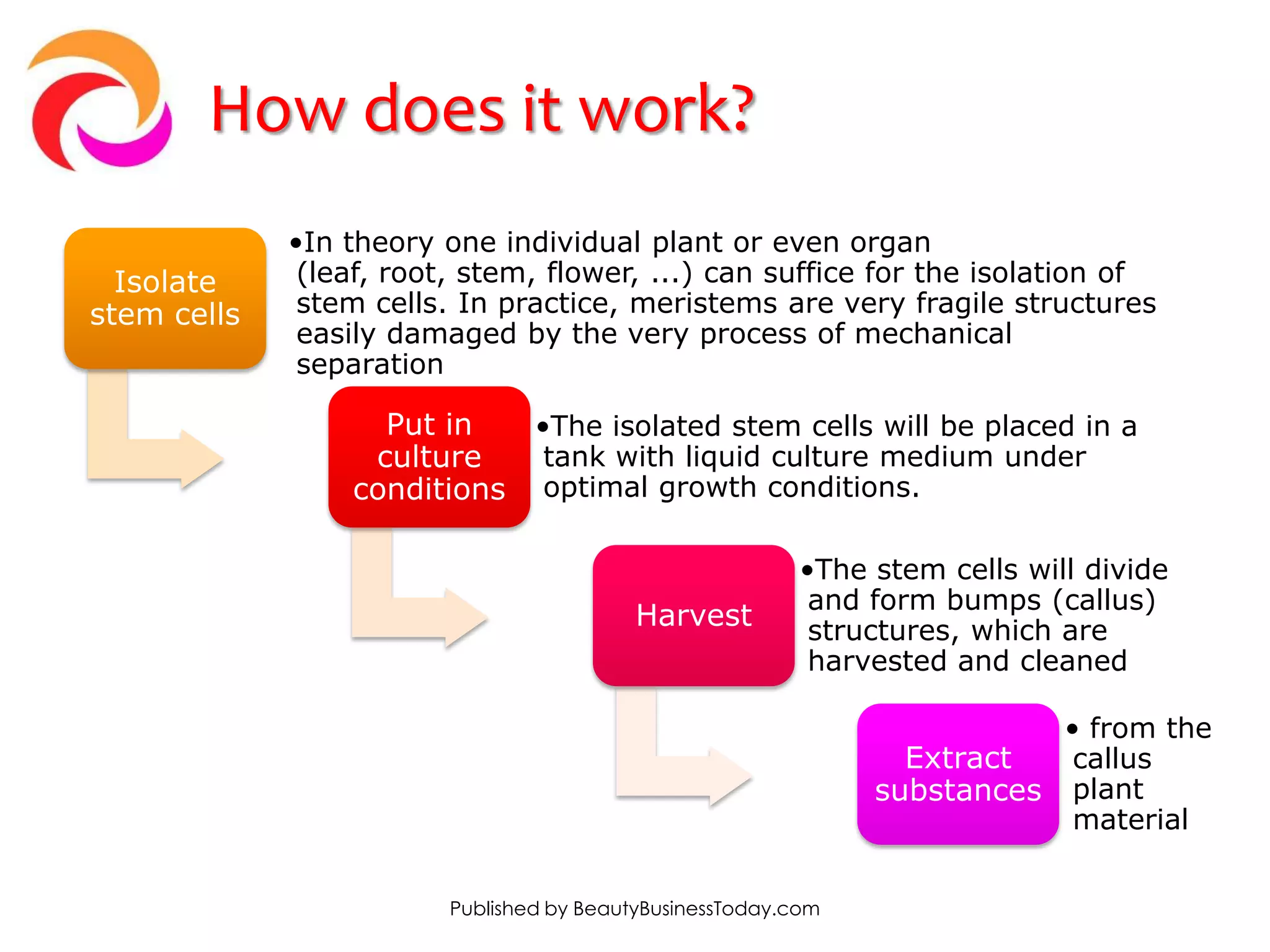 Innovation in cosmetics: Plant Stem Cell Technology | PPTX