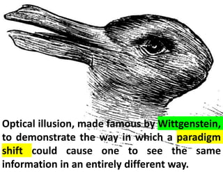 Paradigm Shift Optical Illusion