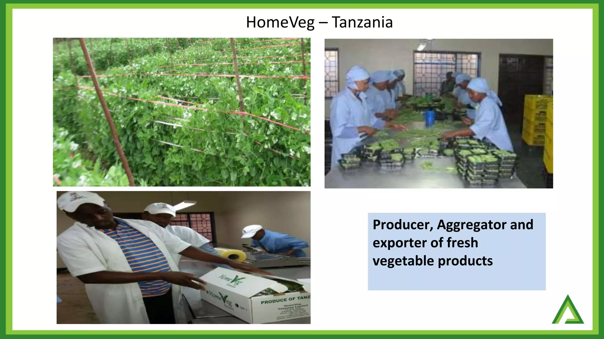 Innovative business models in horticulture | PPTX