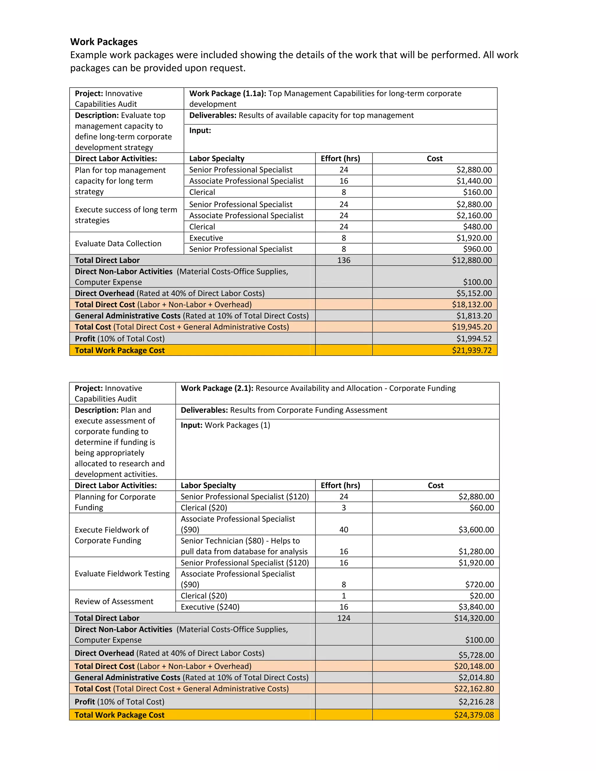 Innovative capabilities audit project plan | PDF