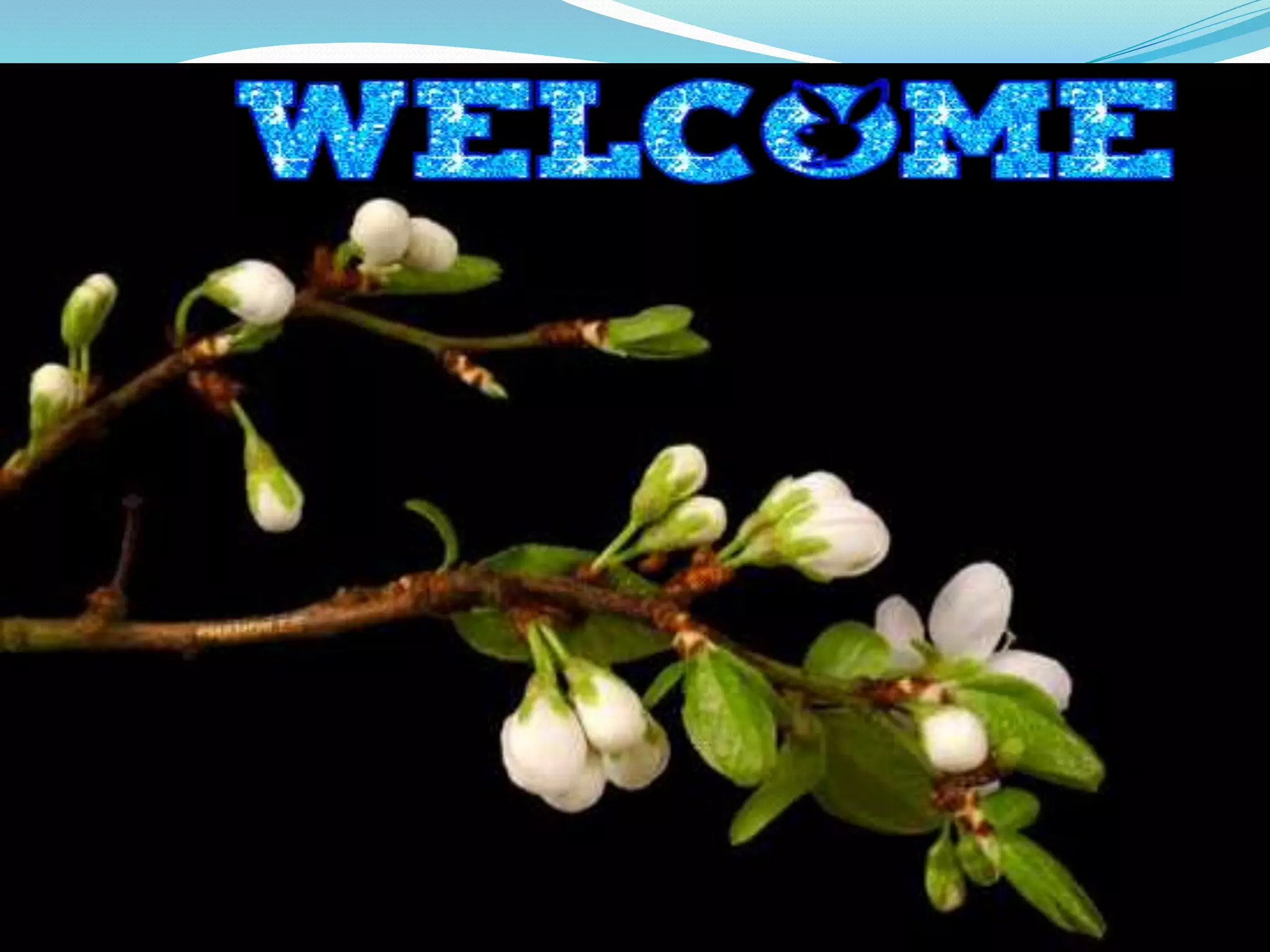 I am the people the mob | PPT