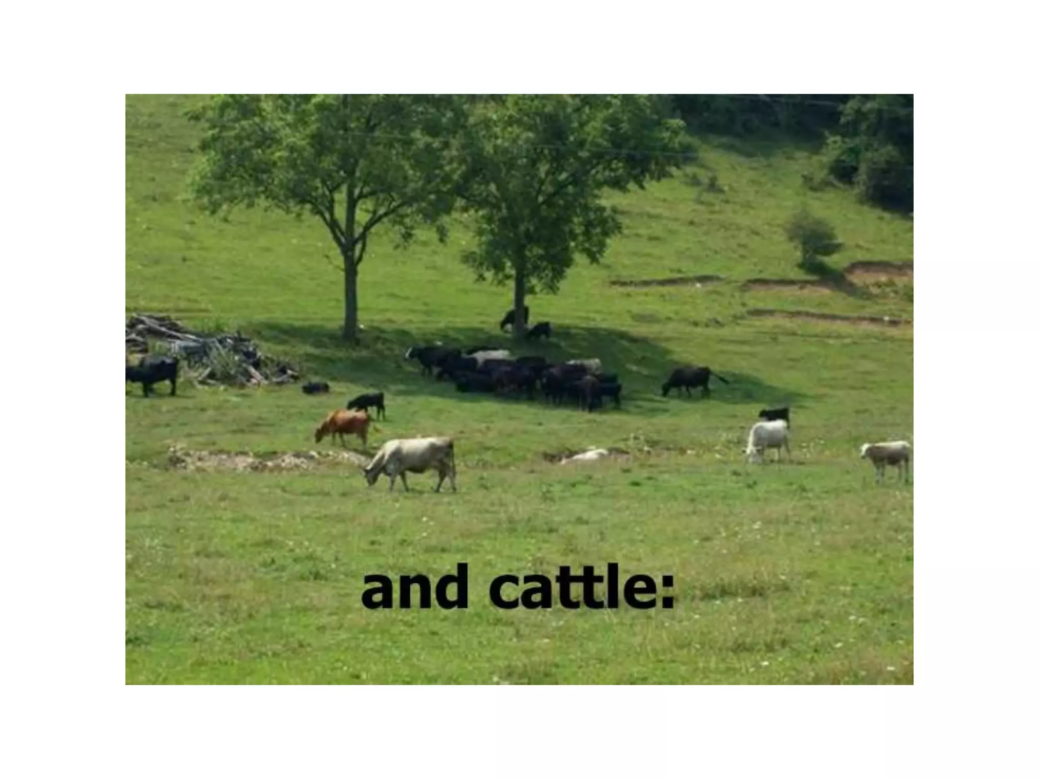 Picturisation of the poem From A Railway Carriage | PPT