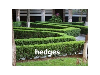 Picturisation of the poem From A Railway Carriage | PPT