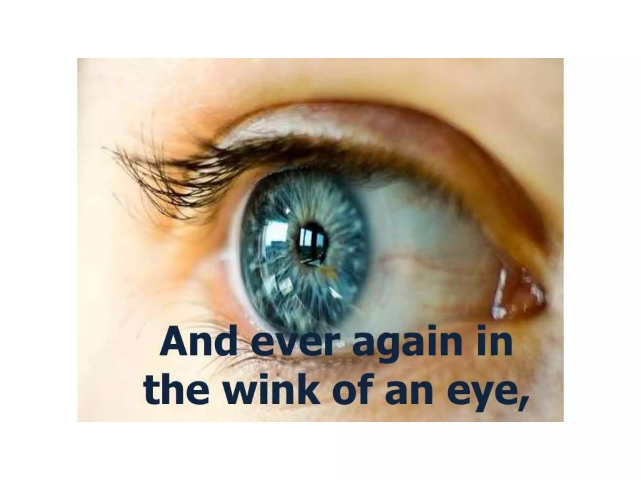 picturisation | PPTX