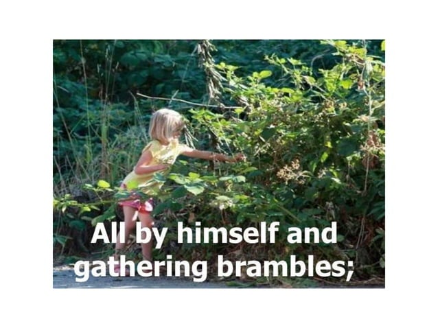 picturisation | PPTX