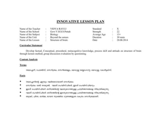 Innovative lesson plan 1 | DOCX