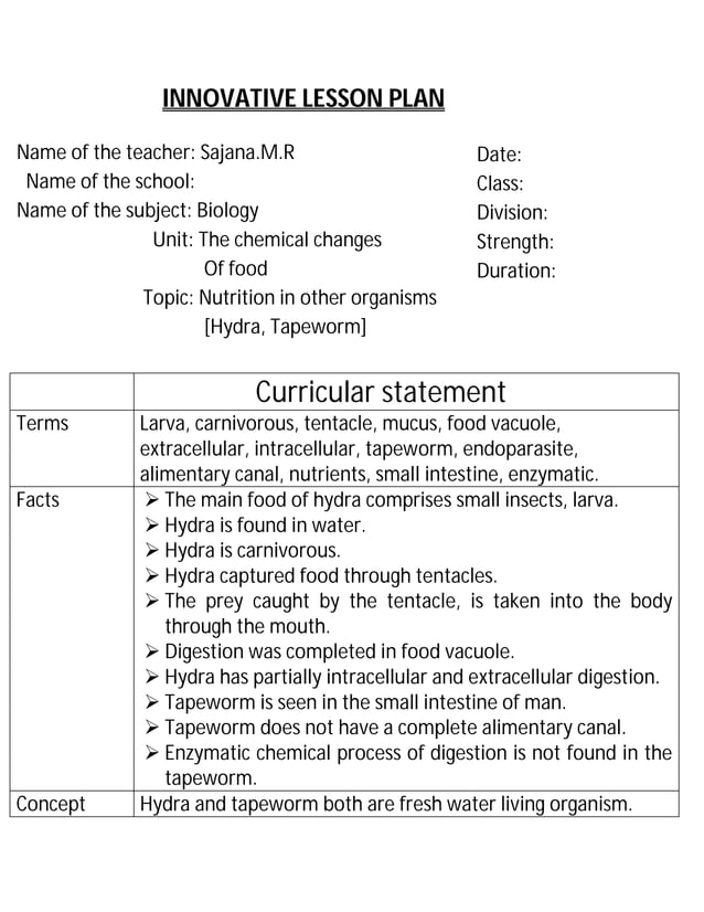 Innovative lesson plan pdf | PDF