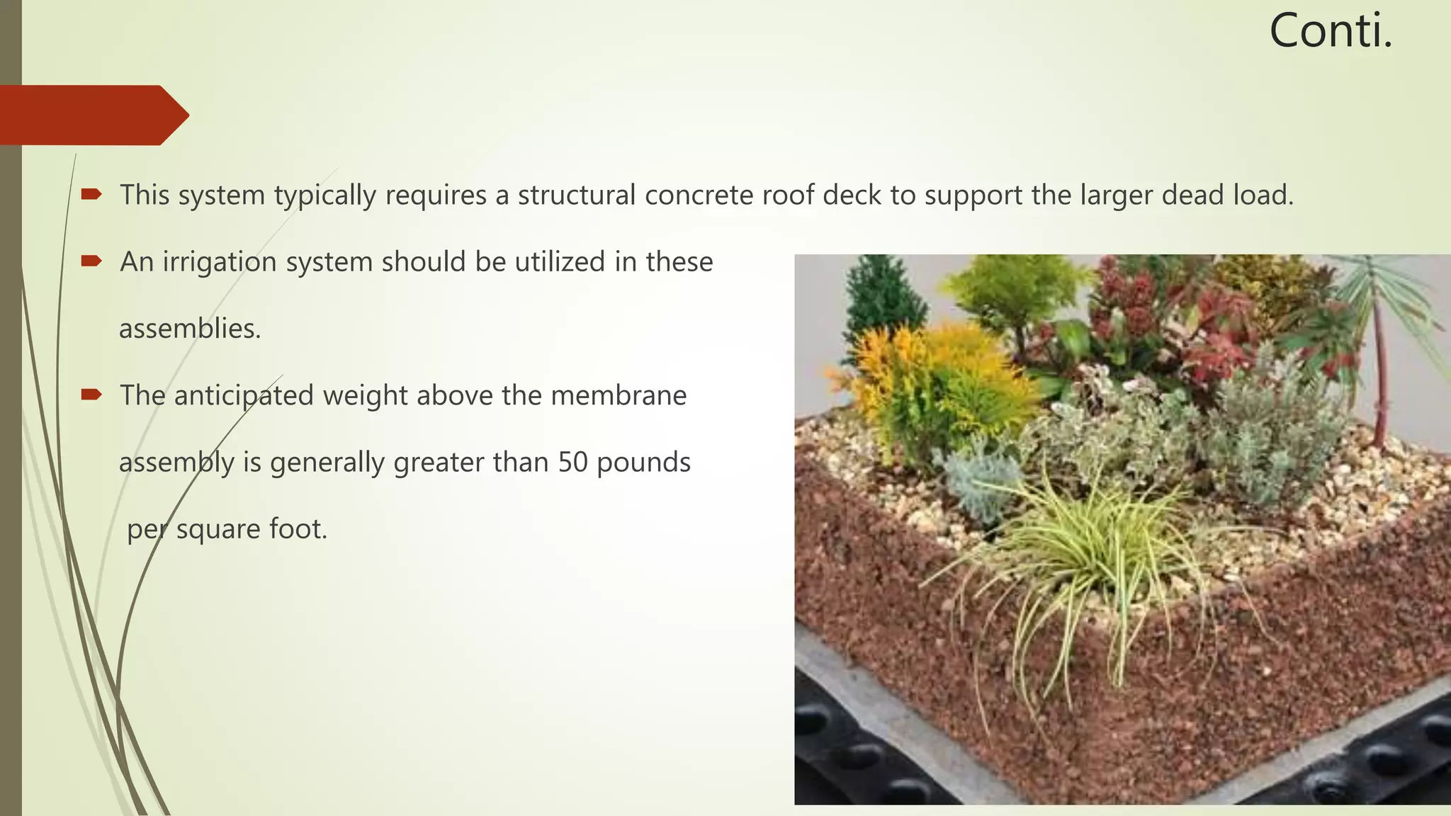 Innovative roof top gardening | PPTX