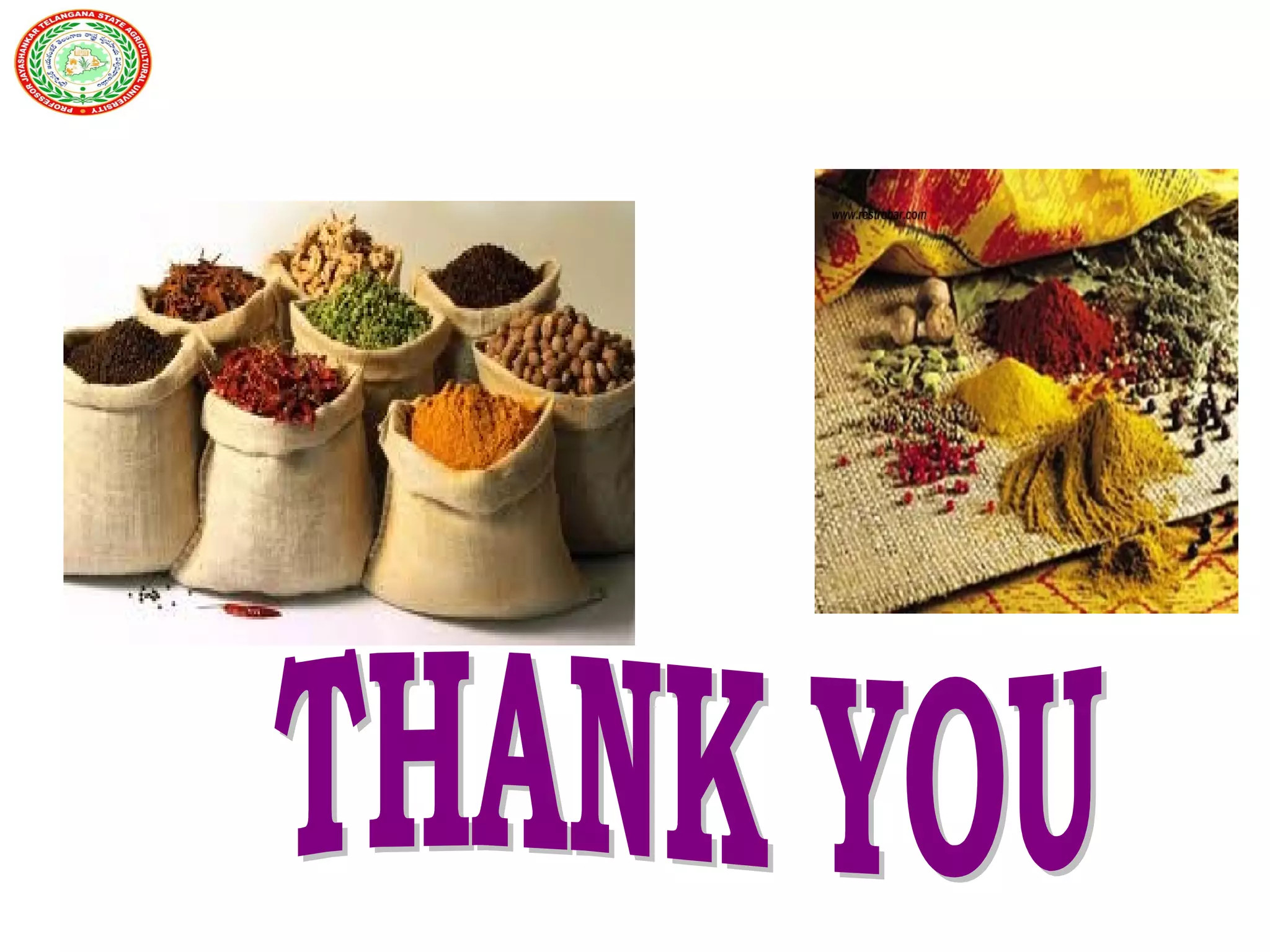 Advances in spice processing | PPT