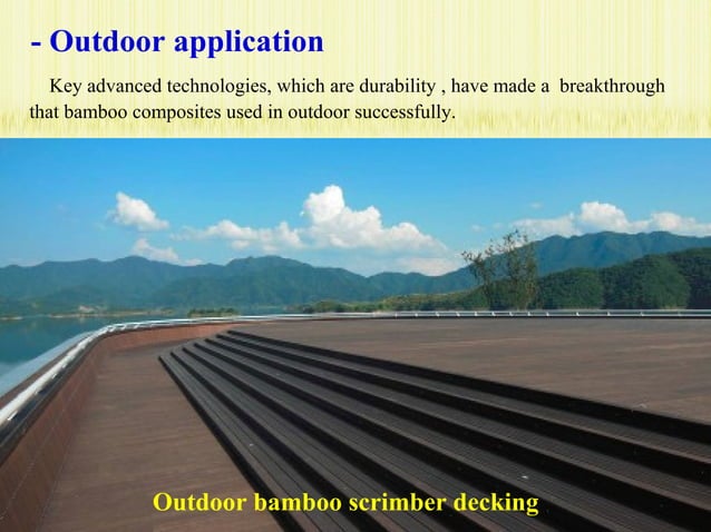 Innovative technologies of bamboo processing in china | PPT