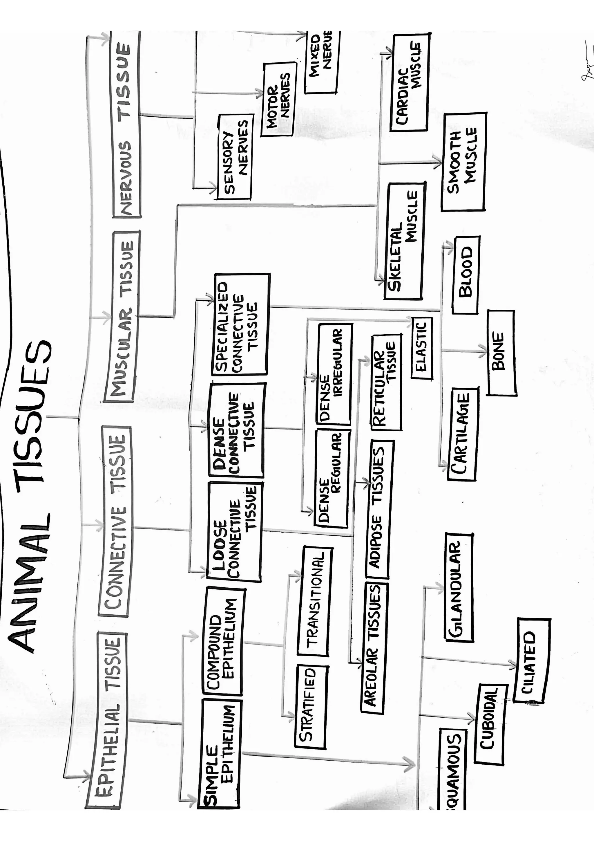 Innovative work -1.pdf Innovative work -1.pdf