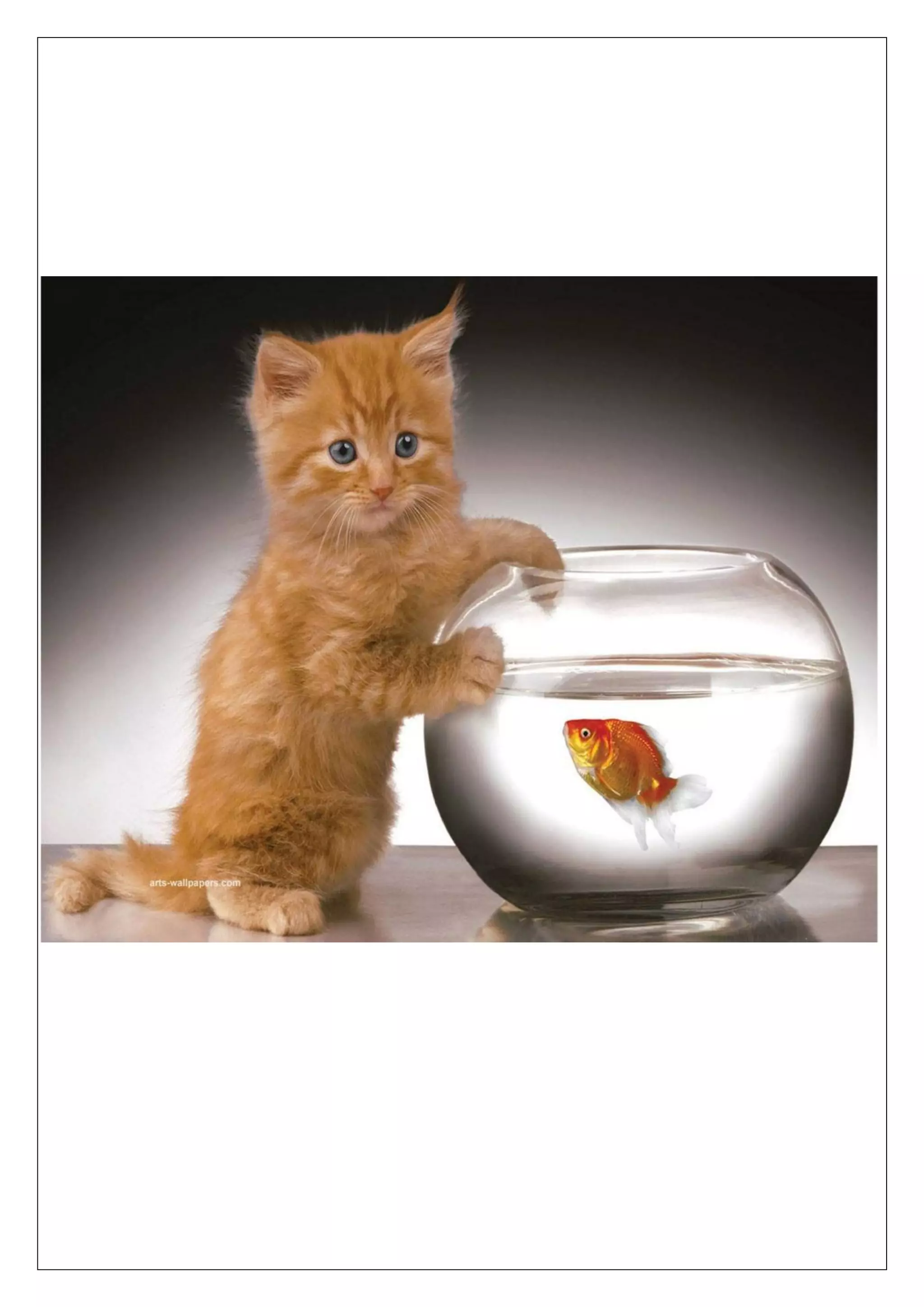 Innovative work | PDF