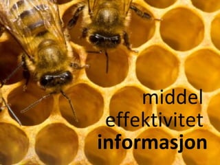 Innsamling Av Data | PPT