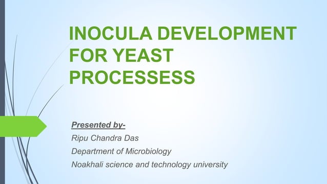 Inocula development for yeast processes | PPTX | Desserts and Baking ...