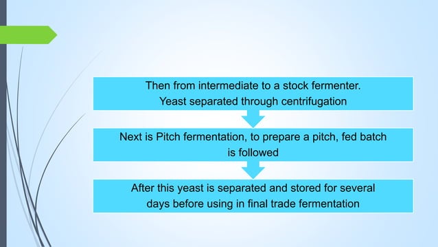 Inocula development for yeast processes | PPTX | Desserts and Baking ...