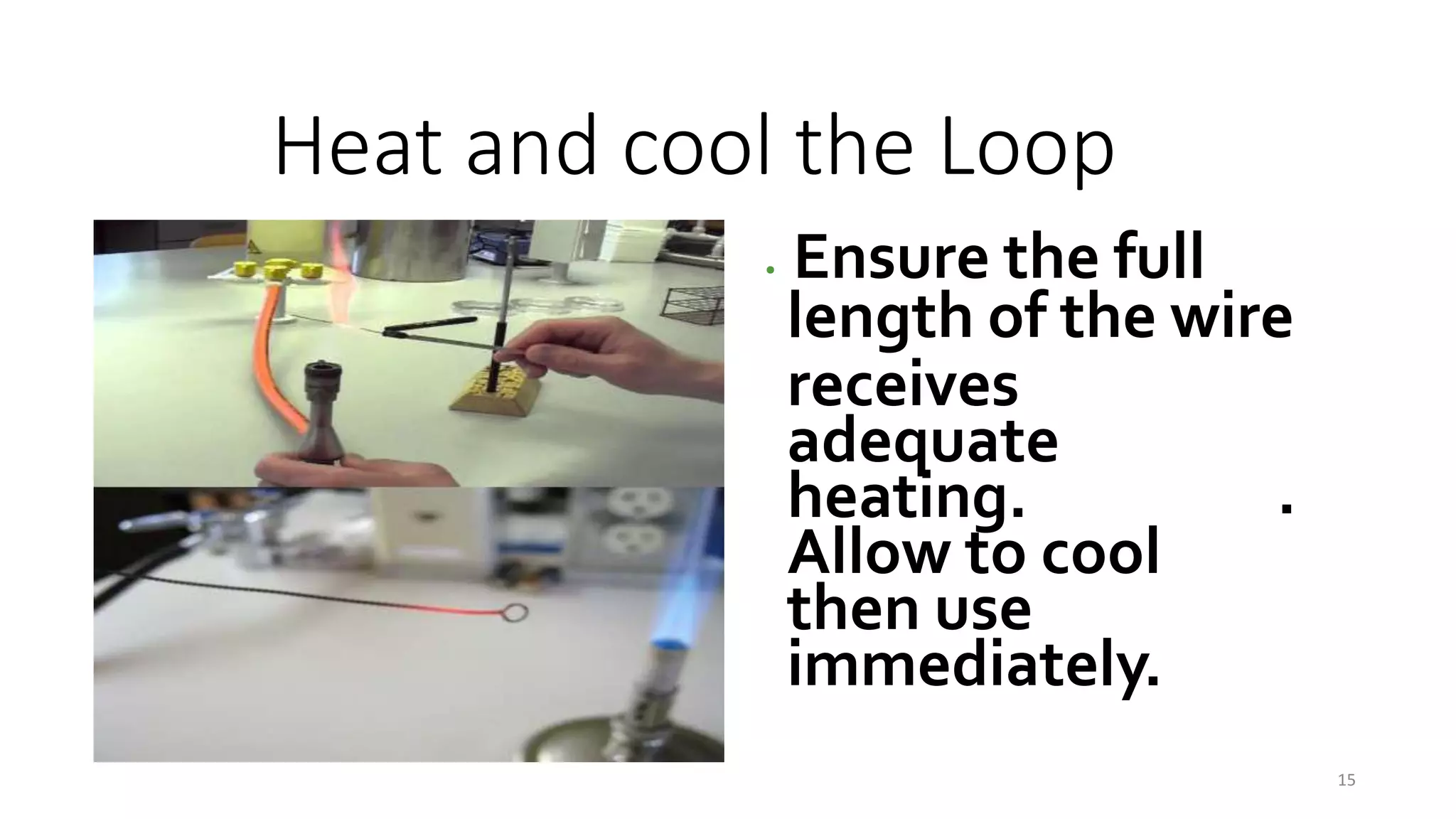 inoculating a culture plate in bacteriology | PPTX