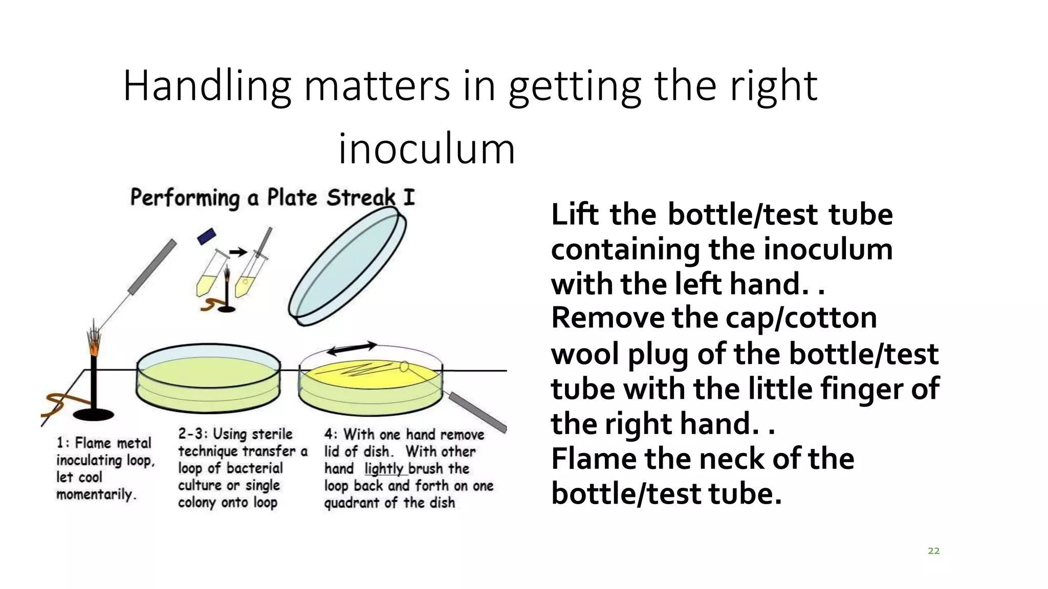 inoculating a culture plate in bacteriology | PPTX