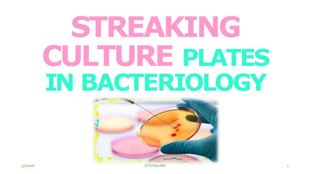 inoculating a culture plate in bacteriology | PPTX