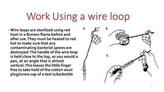 inoculating a culture plate in bacteriology | PPTX
