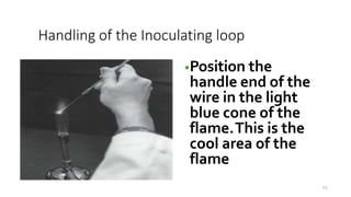 inoculating a culture plate in bacteriology | PPTX