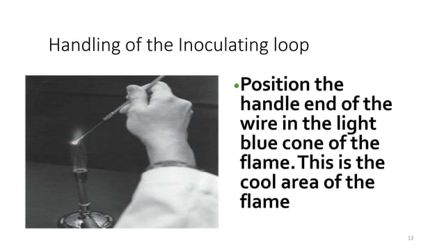 inoculating a culture plate in bacteriology | PPTX