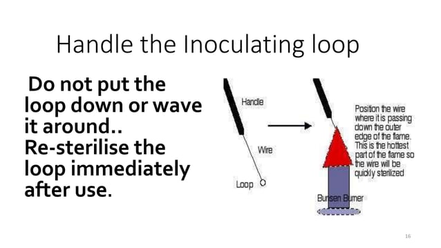 inoculating a culture plate in bacteriology | PPTX