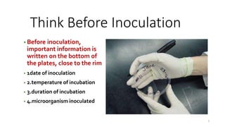 inoculating a culture plate in bacteriology | PPTX