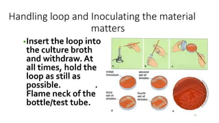 inoculating a culture plate in bacteriology | PPTX