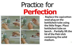inoculating a culture plate in bacteriology | PPTX