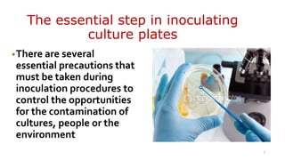 inoculating a culture plate in bacteriology | PPTX