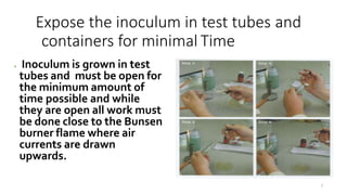 inoculating a culture plate in bacteriology | PPTX