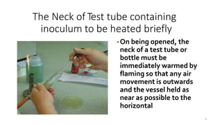 inoculating a culture plate in bacteriology | PPTX