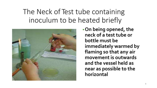 inoculating a culture plate in bacteriology | PPTX