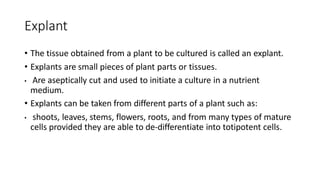 Inoculation of explants | PPTX