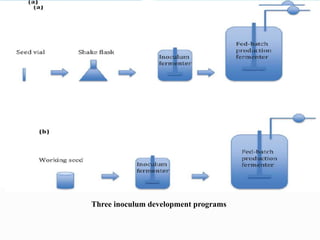 Inoculum build up for fermentation | PPTX