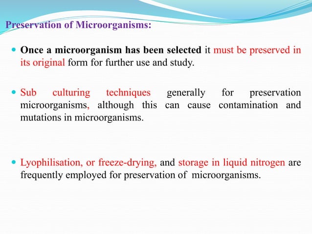 Inoculum build up for fermentation | PPTX