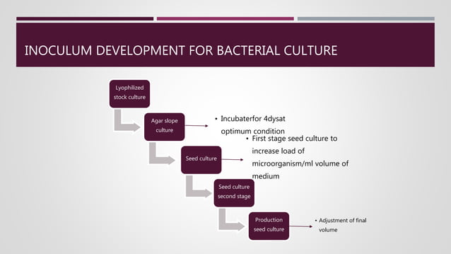 Inoculum development.pptx | Chemistry | Science