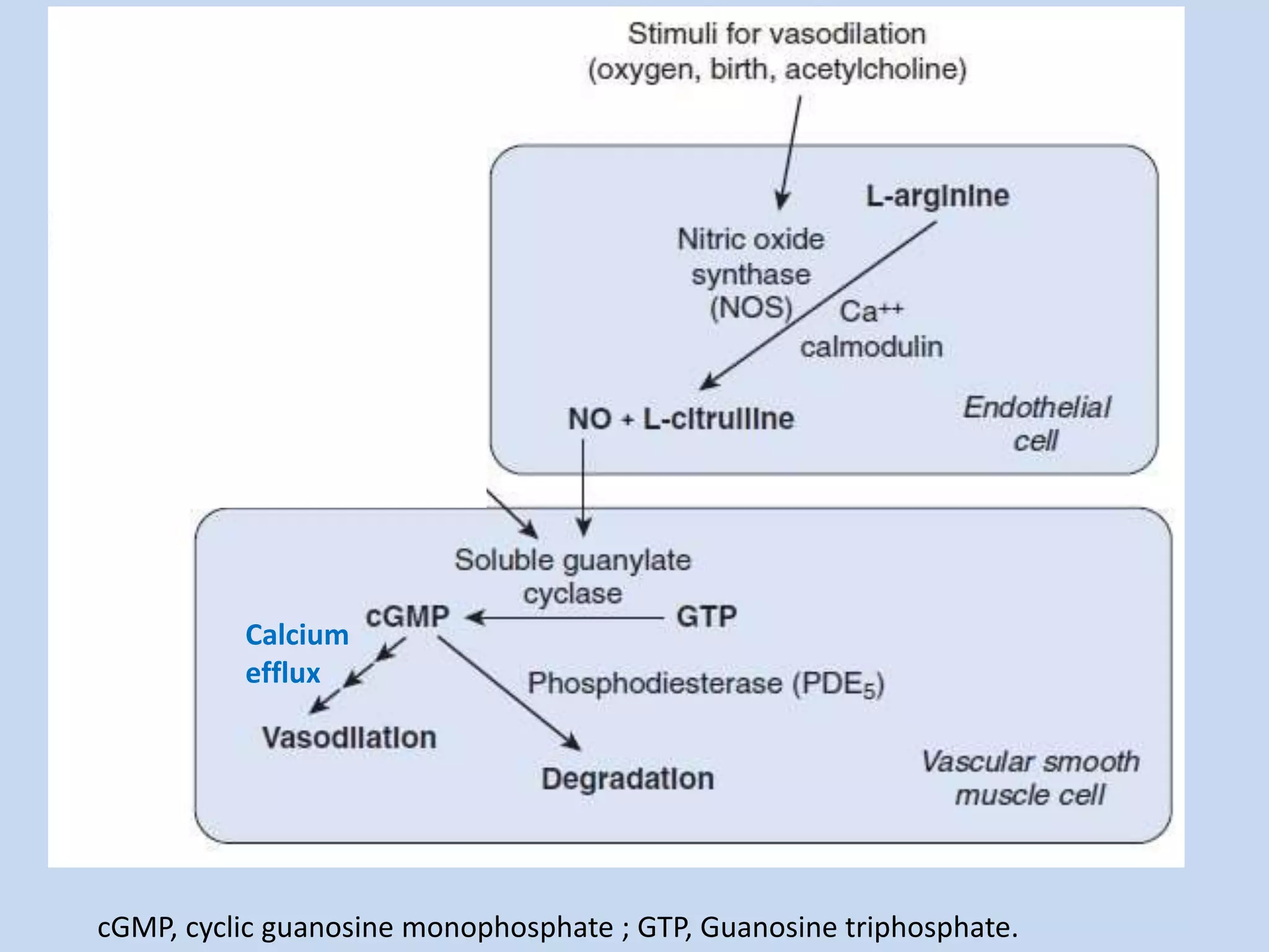 Inhaled Nitric Oxide (iNO) in Newborns - Dr Padmesh - Neonatology | PPTX