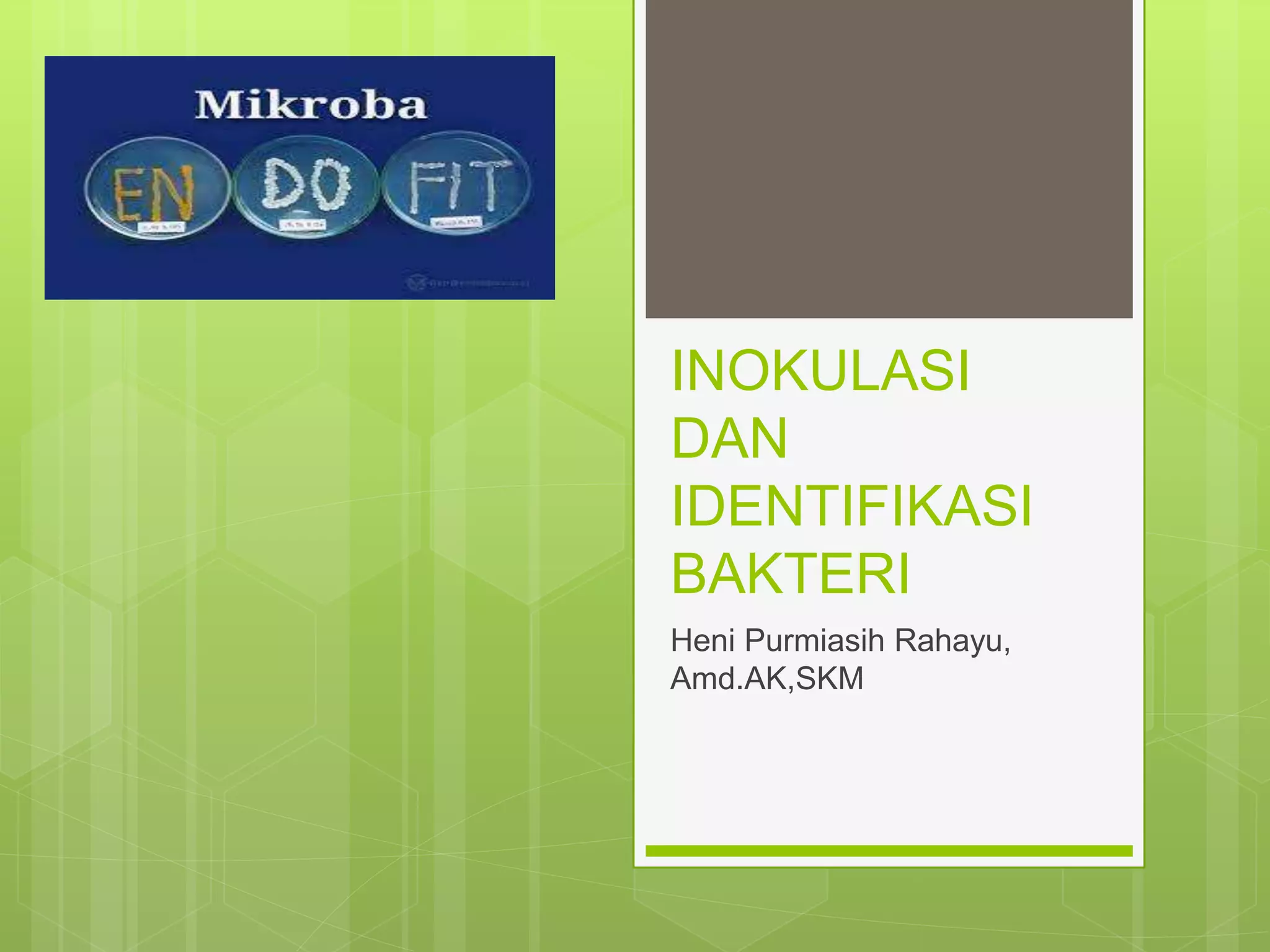 Inokulasi dan identifikasi bakteri | PPTX