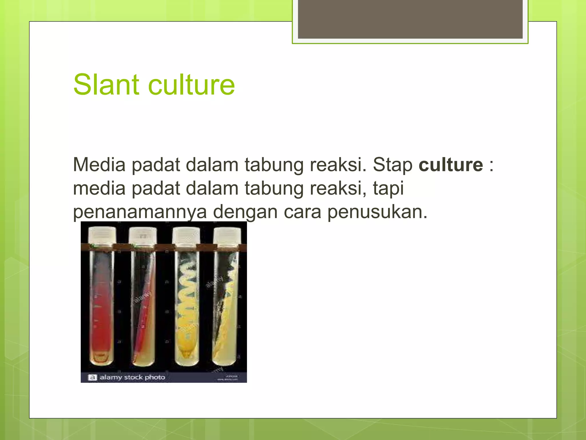 Inokulasi dan identifikasi bakteri | PPTX