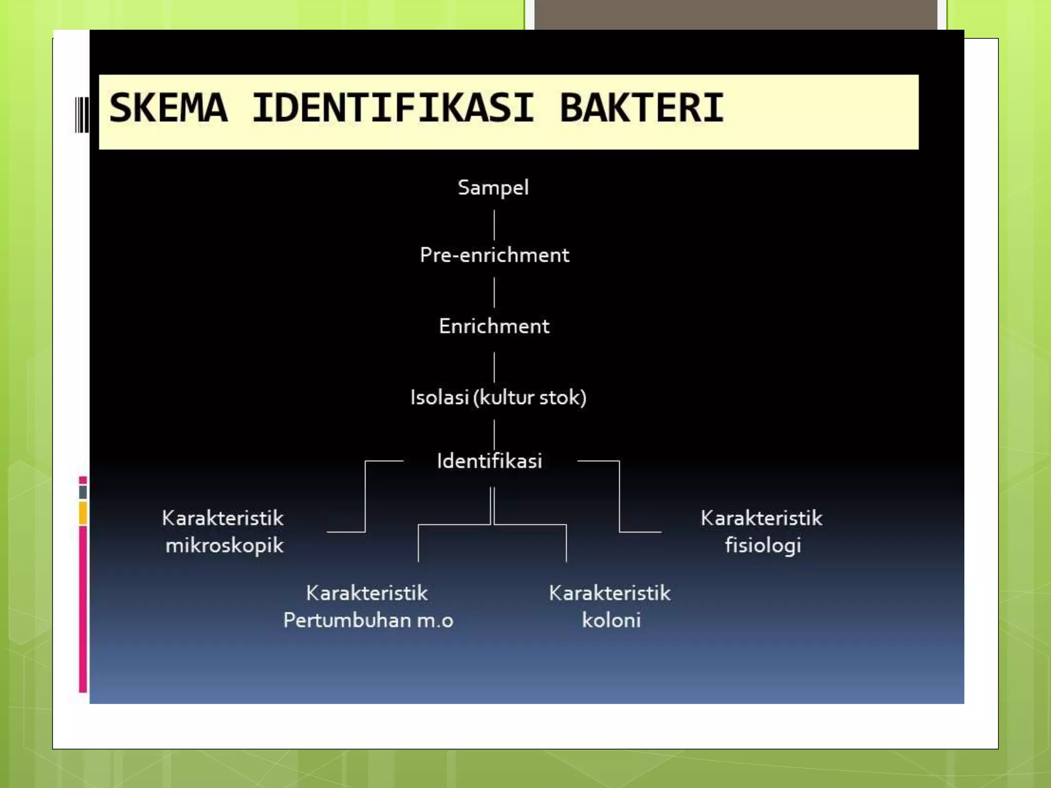 Inokulasi dan identifikasi bakteri | PPTX