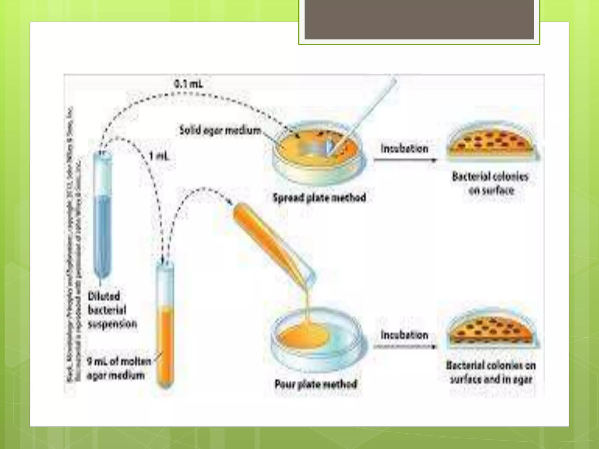 Inokulasi dan identifikasi bakteri | PPTX